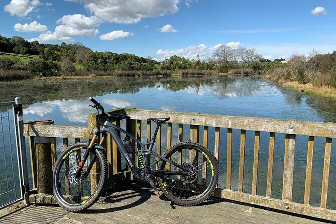Auckland Half Day E-Bike Excursion - What the Reviews Say