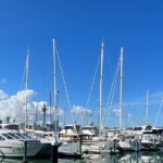 Auckland Harbour And Muriwai Black Sand Beach Private Tour - Practical Considerations