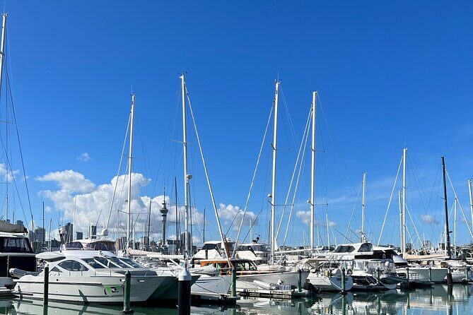 Auckland Harbour And Muriwai Black Sand Beach Private Tour - Practical Considerations