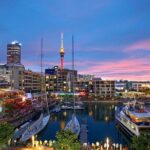 Auckland Highlight Fullday City Tour - Real Traveler Insights