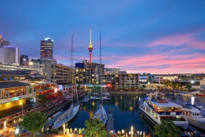 Auckland Highlight Fullday City Tour - Real Traveler Insights