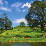 Auckland: Hobbiton Movie Set Day Trip with Festive Lunch - Final Thoughts