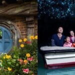 Auckland: Hobbiton & Waitomo Caves Small-Group Tour & Lunch - Analyzing the Value & Practical Details