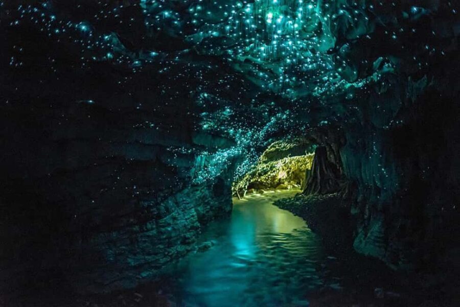 Auckland: Hobbiton & Waitomo Glow Worm Caves Private Tour - Who Should Consider This Tour?