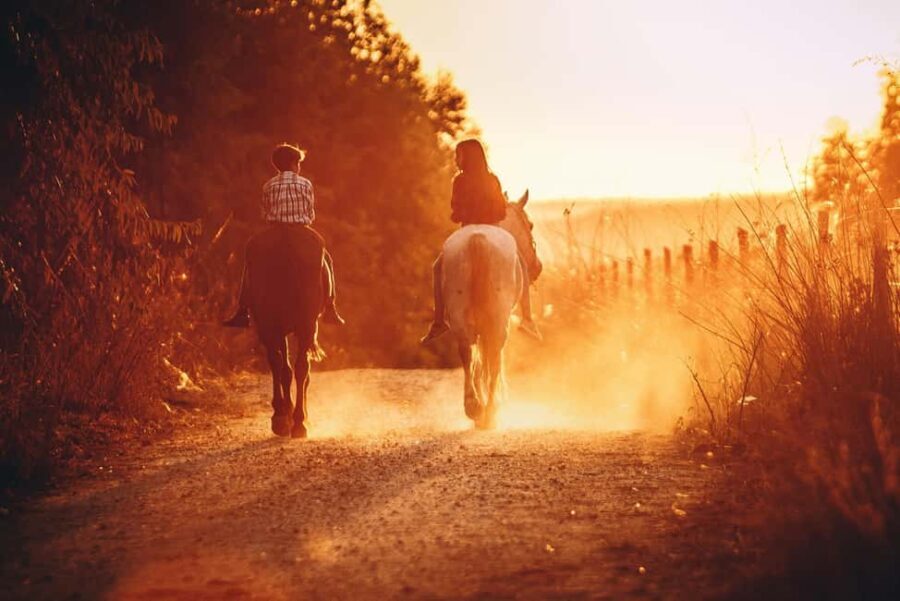 Auckland: Horseback Riding Through Vines with Wine & Dine - The Horseback Ride: A Gentle Introduction to Nature