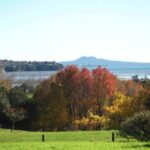 Auckland Nature Tour - Authentic Experiences and Hidden Gems