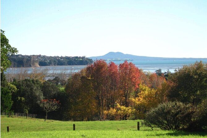 Auckland Nature Tour - Authentic Experiences and Hidden Gems