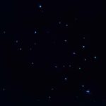 Auckland North Shore Glowworm Tour - Guides and Learning Opportunities