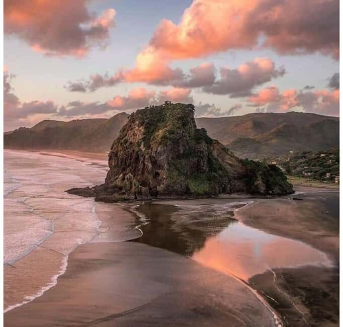 Auckland: Piha Beach, Rainforest, & Mount Eden Private Tour - The Details that Make This Tour Worthwhile