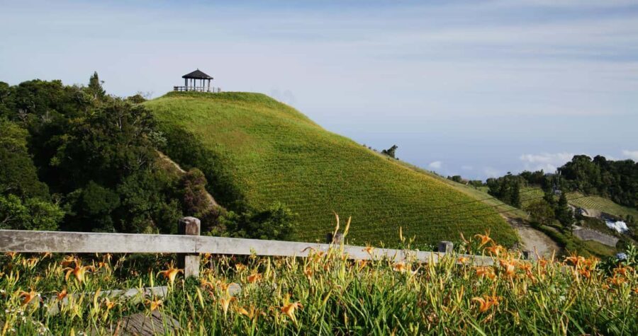 Auckland: Private City Tour with Mount Victoria and Mt. Eden - In-Depth Look at the Itinerary