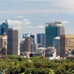 Auckland: Private Customizable Walking Tour with Local Guide - Who Should Consider This Tour?