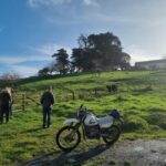 Auckland: Private Farm Tour with Sheep Shearing & Lunch - Analyzing the Value — Is It Worth It?