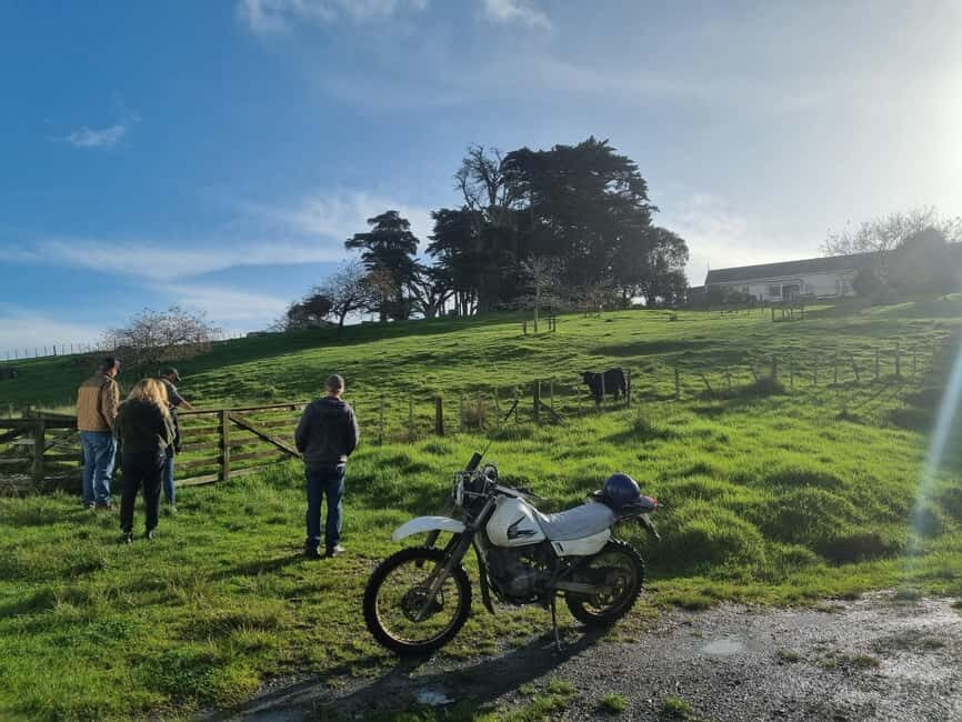 Auckland: Private Farm Tour with Sheep Shearing & Lunch - Analyzing the Value — Is It Worth It?