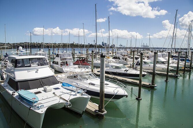 Auckland Private Full Day Attractions Tour & Museums - Who Should Consider This Tour?