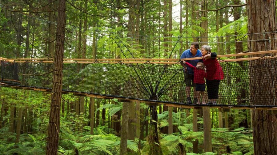 Auckland: Rotorua Highlights inc Te Puia Tour & Redwoods - Starting in Auckland: Scenic Journey to Rotorua
