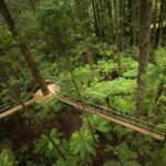 Auckland: Rotorua Highlights w Redwoods Treewalk & Hot Tubs - Analyzing the Value