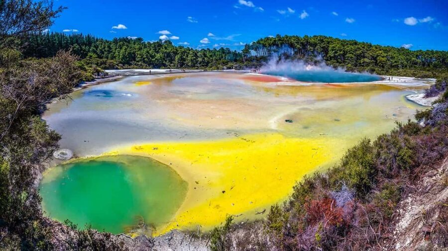 Auckland: Rotorua Highlights w WaiOTapu & Redwoods Treewalk - Starting from Auckland: The Journey South