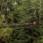 Auckland: Rotorua Highlights with Redwoods Treewalk & Spa - Exploring Rotorua: What Makes This Tour Special