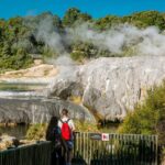 Auckland: Rotorua Te Puia with Haka & Polynesian Spa Small Group - What Makes This Tour Stand Out