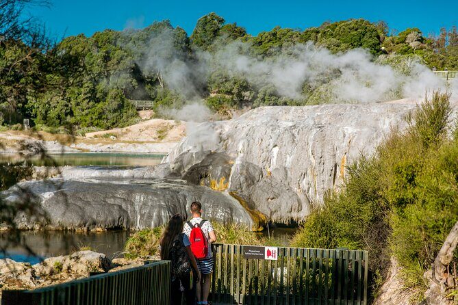 Auckland: Rotorua Te Puia with Haka & Polynesian Spa Small Group - What Makes This Tour Stand Out