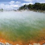 Auckland: Rotorua Tour with Waiotapu, Te Puia and Maori Haka - The Value of This Tour