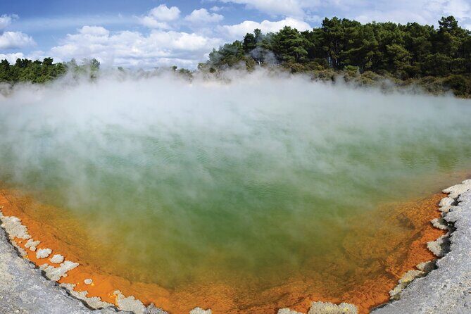 Auckland: Rotorua Tour with Waiotapu, Te Puia and Maori Haka - The Value of This Tour