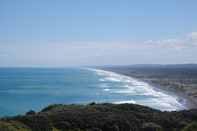 Auckland Scenic Day Tour Full-Day- 8 HOURS - A Deep Dive into What You Can Expect