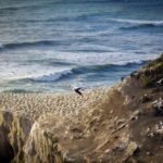 Auckland Sights Exclusive 8 Hour Luxury Day Tour - Final Reflection