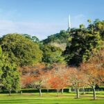 Auckland Sightseeing TourPrivate Full Day/Half Day Driver+Tesla - Who Is This Tour Best For?