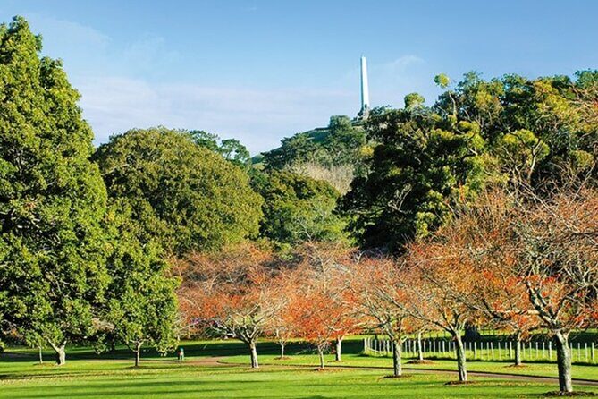 Auckland Sightseeing TourPrivate Full Day/Half Day Driver+Tesla - Who Is This Tour Best For?