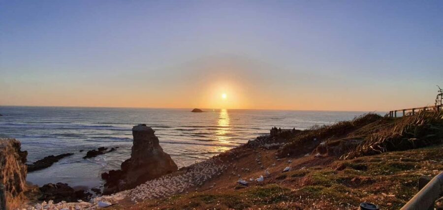Auckland: Sunset Tour with Thermal pool & Wine Tasting - Why This Tour Offers Good Value