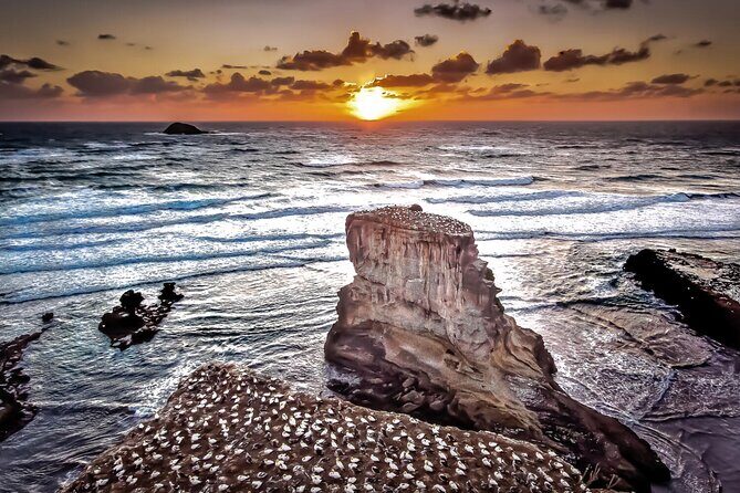Auckland Thermal Pool and Muriwai Beach Sunset Day tour - The Itinerary Breakdown