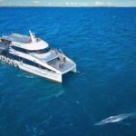Auckland: Tikapa Moana Dolphin, Whale and Island Cruise - Who Is This Tour For?