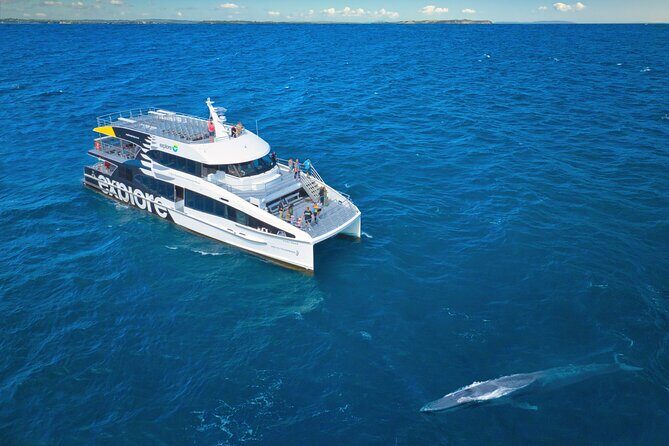 Auckland: Tikapa Moana Dolphin, Whale and Island Cruise - Who Is This Tour For?