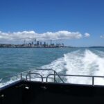 Auckland: Tikapa Moana Whales, Dolphins and Islands Cruise - What Do the Reviews Say?