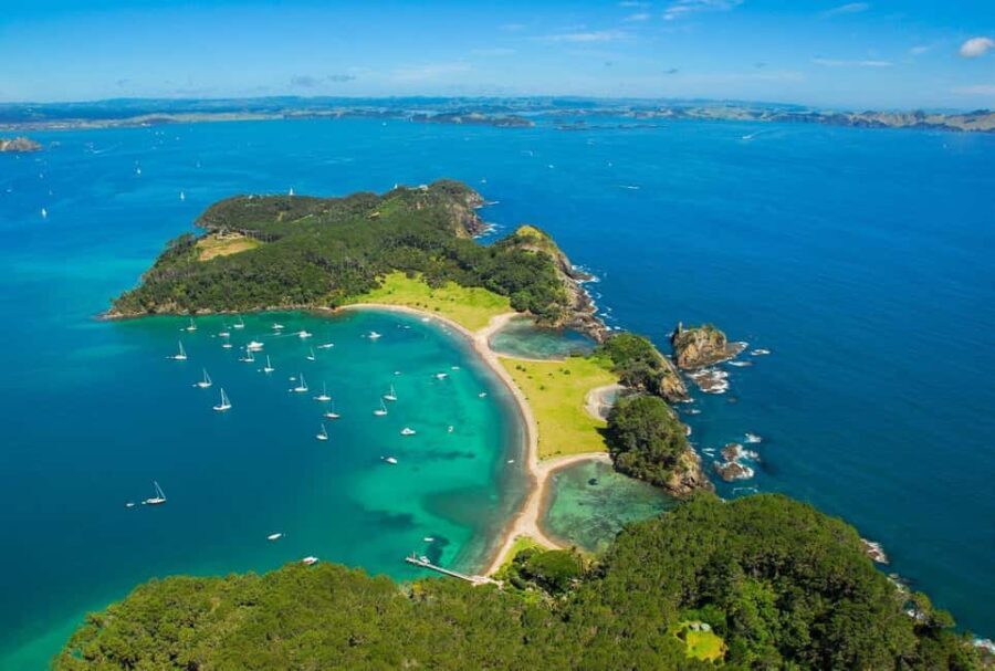 Auckland to Paihia via West Coast Small Group Tour (One Way) - An In-Depth Look at the Tour