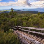 Auckland to Rangitoto Island Ferry - Who Will Love This Tour?