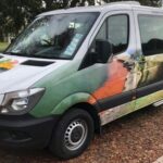 Auckland to Rotorua via Hobbiton One Way Small Group Tour - The Value and Practicality of This Tour