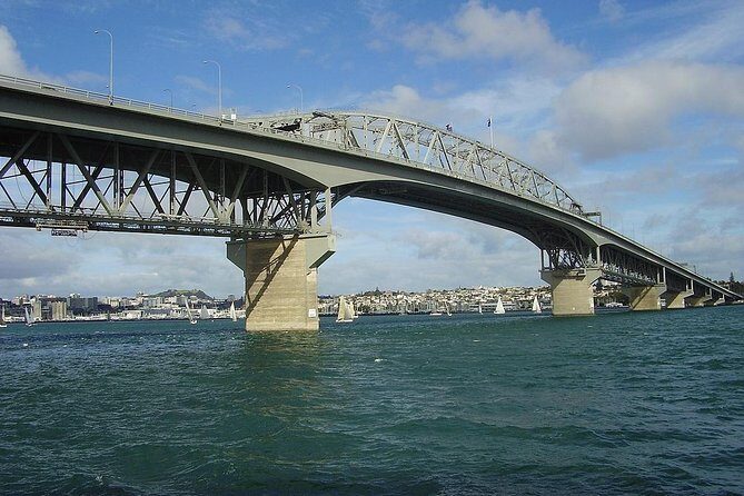 Auckland Tour City Highlights Half Day - Real Travelers’ Experiences and Feedback