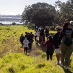 Auckland Urban Mori Experience with Transportation - The Sum Up: Who Should Consider This Tour?
