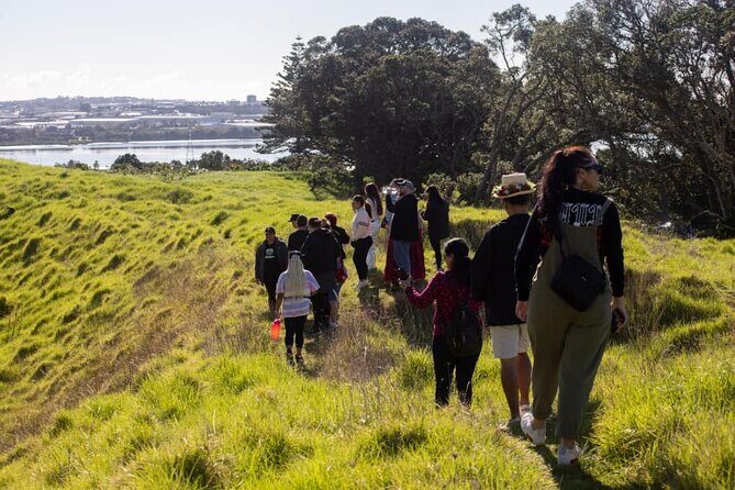 Auckland Urban Mori Experience with Transportation - The Sum Up: Who Should Consider This Tour?