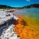 Auckland: Wai-O-Tapu, Polynesian Spa & Maori Haka - How the Tour Is Structured and Why It Matters