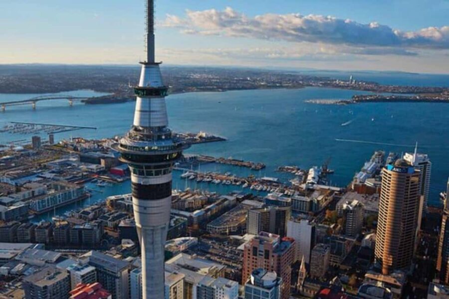 Auckland: Waiheke Island Wine and Food Tasting with Flights - The Itinerary: A Well-Curated Day from Sky to Table