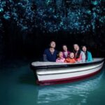 Auckland: Waitomo Caves & Rotorua - Te Puia Small-Group Tour - What the Tour Includes and What to Keep in Mind