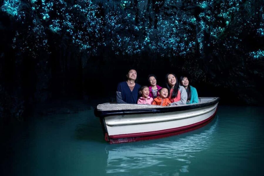 Auckland: Waitomo Caves & Rotorua - Te Puia Small-Group Tour - What the Tour Includes and What to Keep in Mind