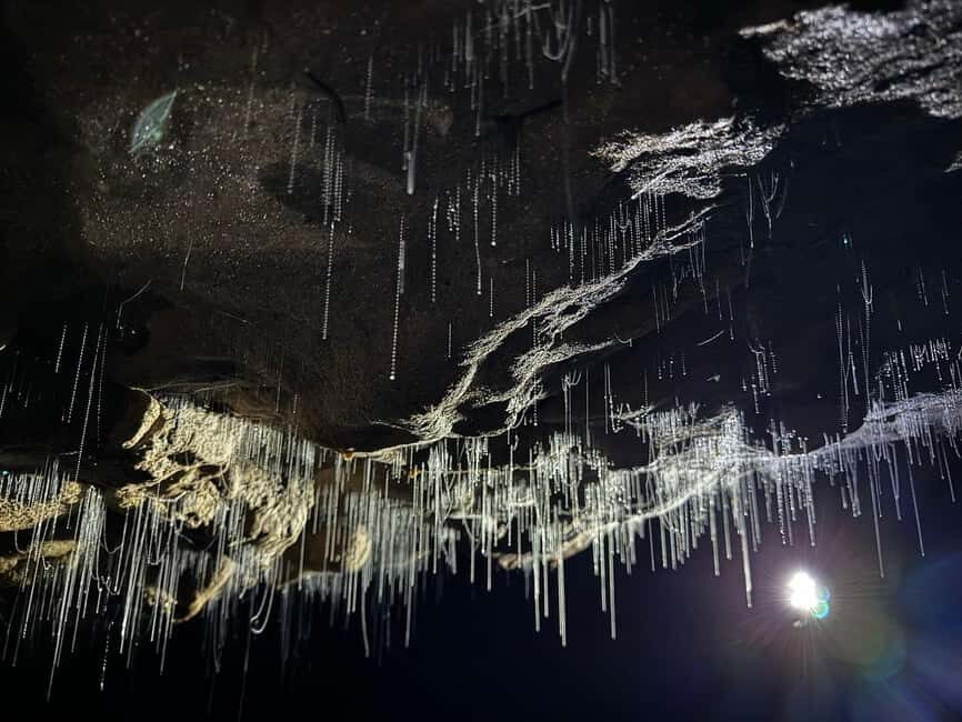 Auckland: Waitomo Glowworm Caves Explorer Small Group Tour - The Practical Side: Value, Pricing, and Booking