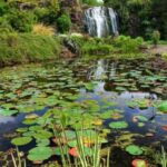 Auckland Waterfall Tour - Magnificent Hunua Falls: Nature’s Power