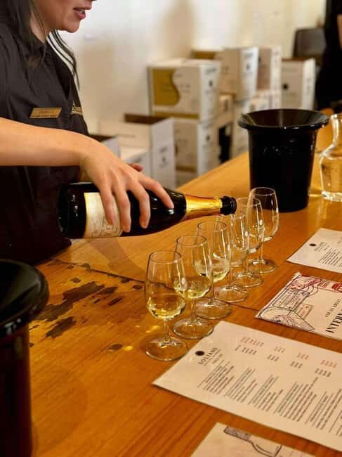 Auckland: Wine region tour with tastings and gourmet lunch - Tour itinerary and what makes each stop special