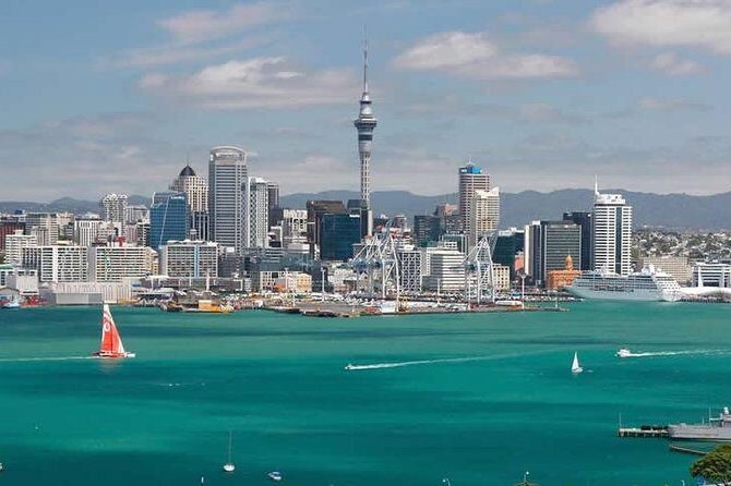 Auckland's Point to Point Transfers - Why Choose This Service?