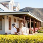 Audrey Wilkinson Vineyard: Picnic with Wine Masterclass Tasting - The Scenic Setting and the Picnic